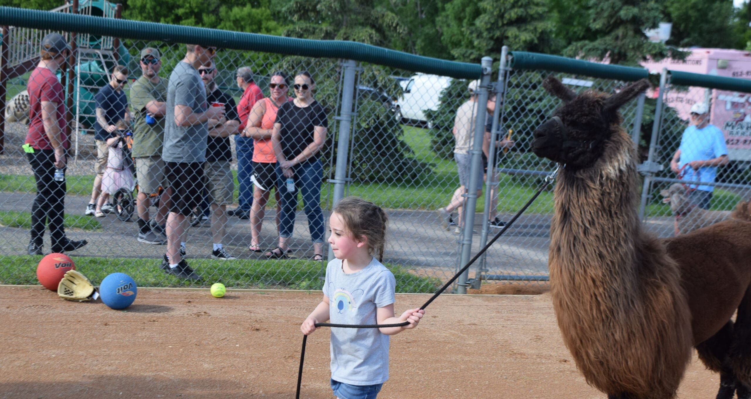 Follow Us - Happy Jolly Llamas