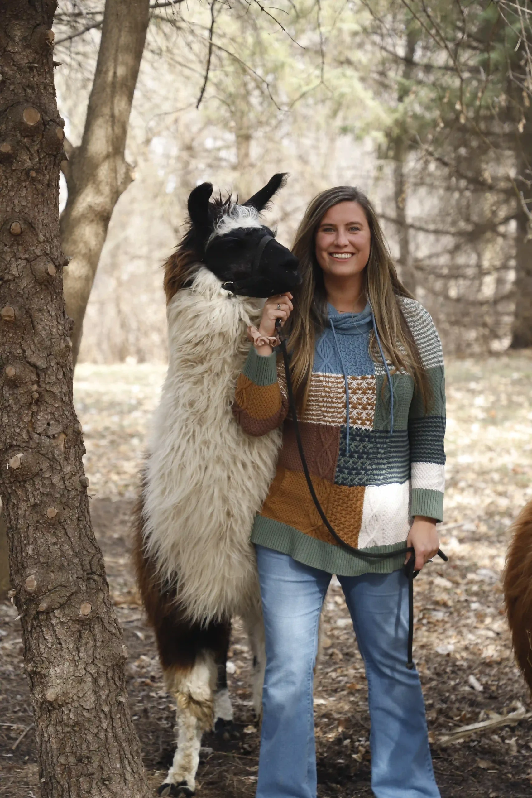 Who We Are - Happy Jolly Llamas