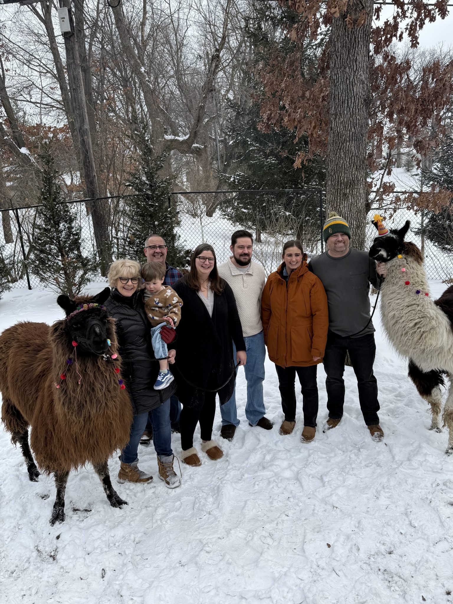 Home - Happy Jolly Llamas